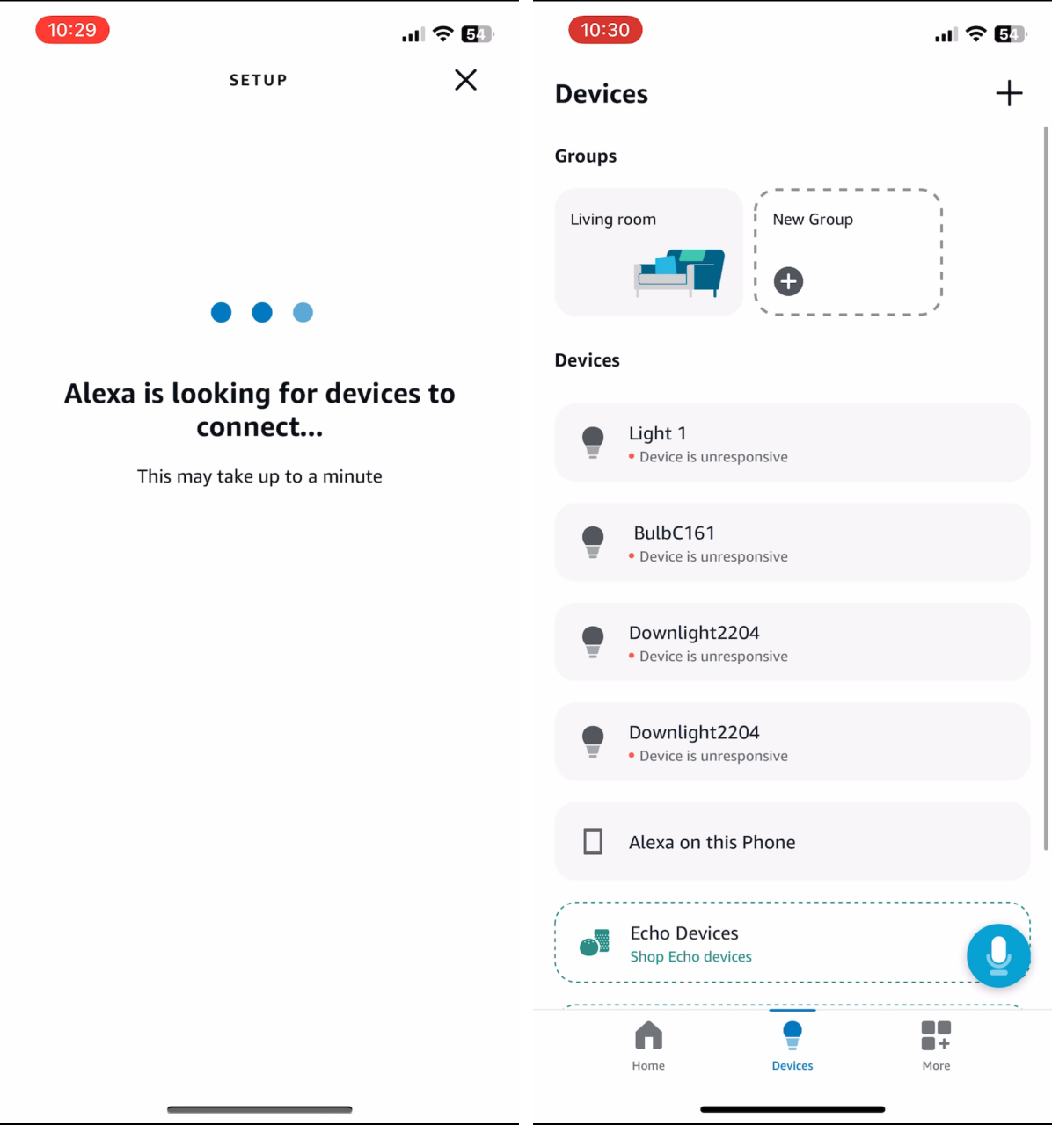 After completing the above operations, you can use Amazon Alexa for ...